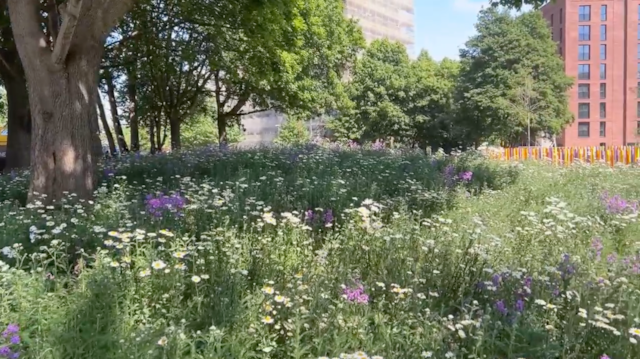 Ancoats Green reopens after major refurbishment